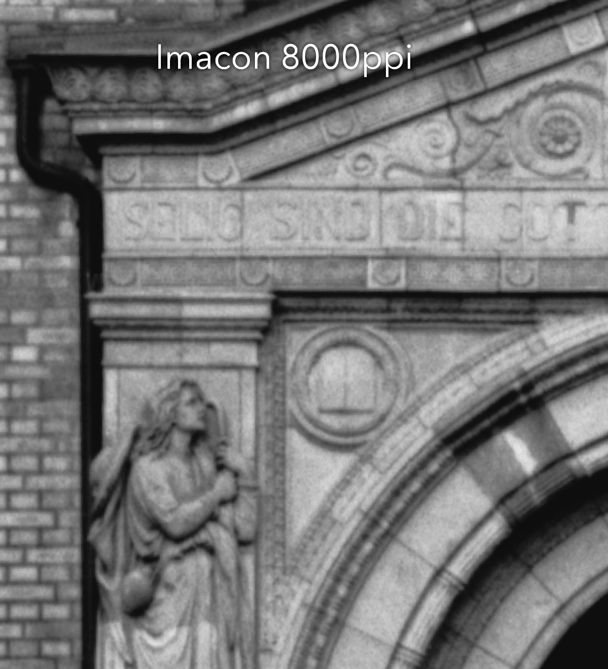 Scan of Grain Texture at 11'000ppi | Photrio.com Photography Forums